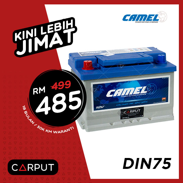DIN75 Camel Plus | Camel Battery | Maintenance Free | CARPUT