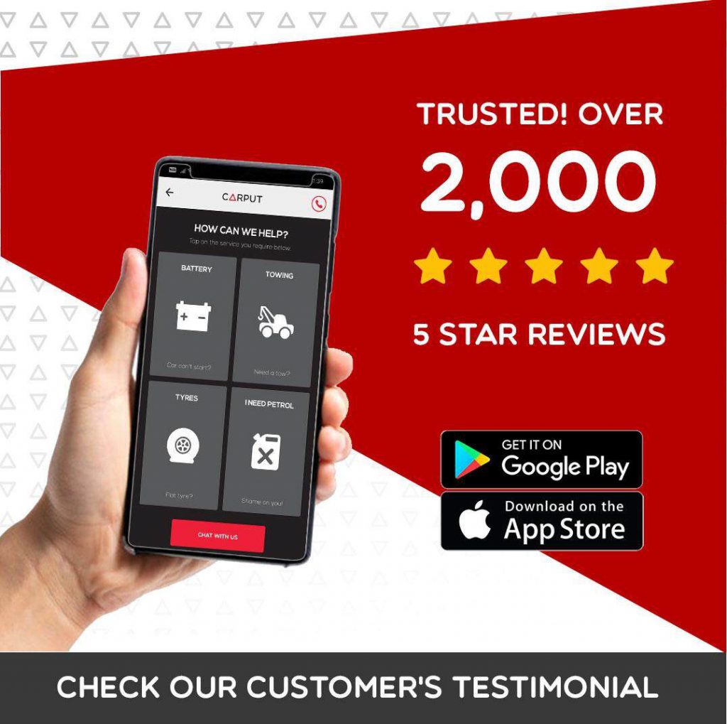 DIN55 Amaron Hi-Life Pro | Amaron Battery | 18 Months | CARPUT